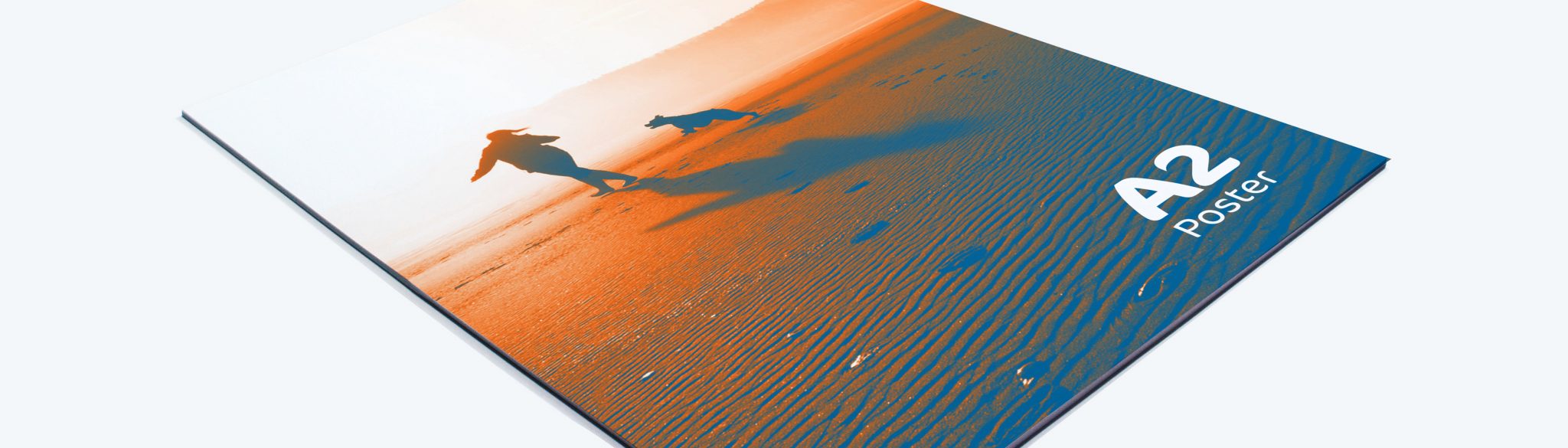 Large Posters - 221 Print